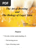 Home Brewing Log Sheet Template | PDF | Homebrewing | Brewing