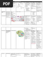 Antibiotic Chart-Infectious Disease Bug Drug Table-2019 | PDF | Medical ...