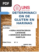 El Mamon en Venezuela | PDF | Alimentos | Plantas comestibles
