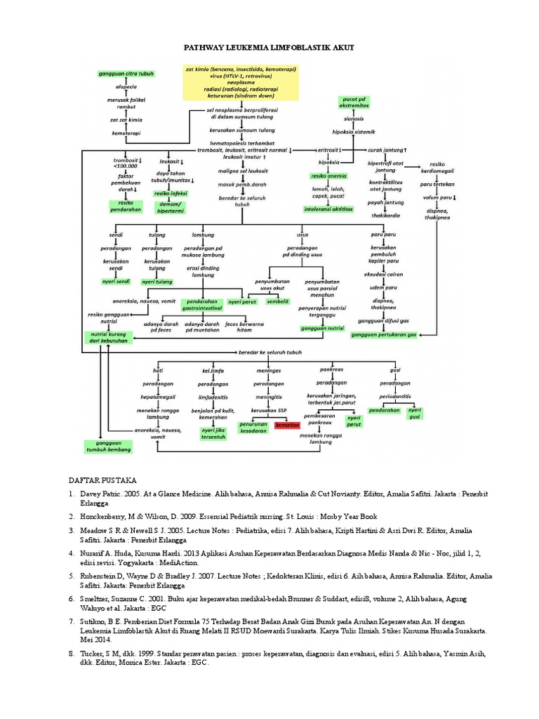 Pathway Leukemia Limfoblastik Akut | PDF | Pengembangan Diri