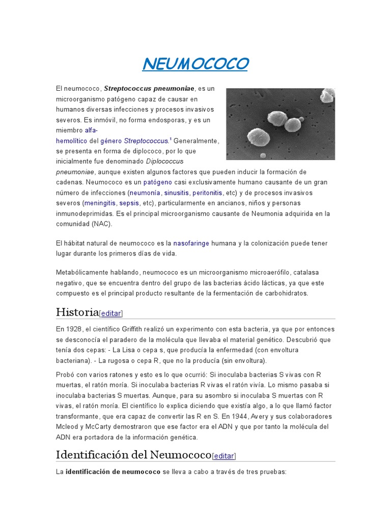 NEUMOCOCO | PDF | Microbiología | Procariota