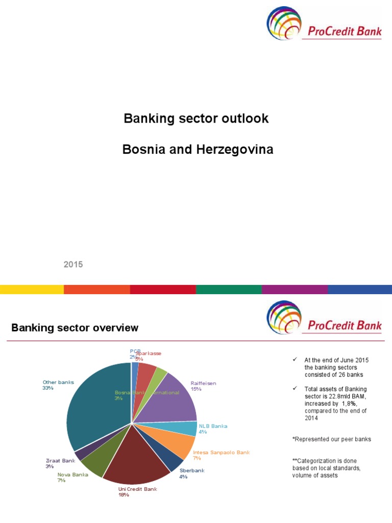 Banking Sector in BiH | PDF | Euro | Return On Equity