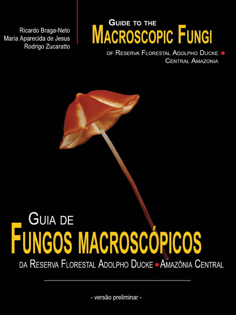 Guia de Fungos Microscópicos | PDF