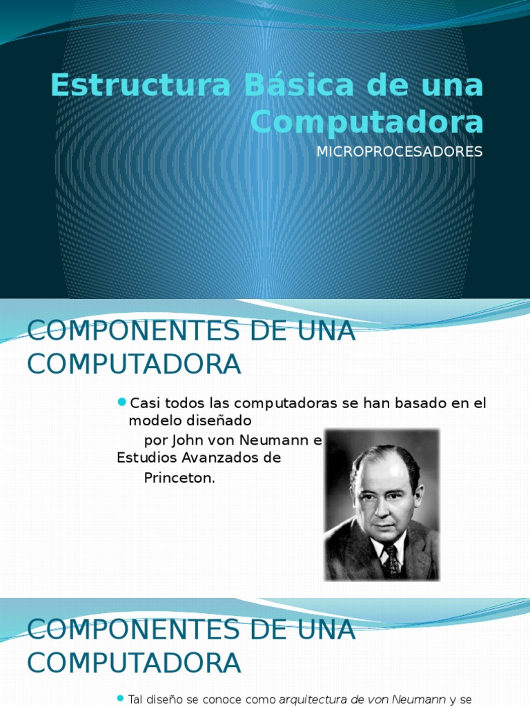 Estructura Básica de Una Computadora | PDF | Unidad Central de ...