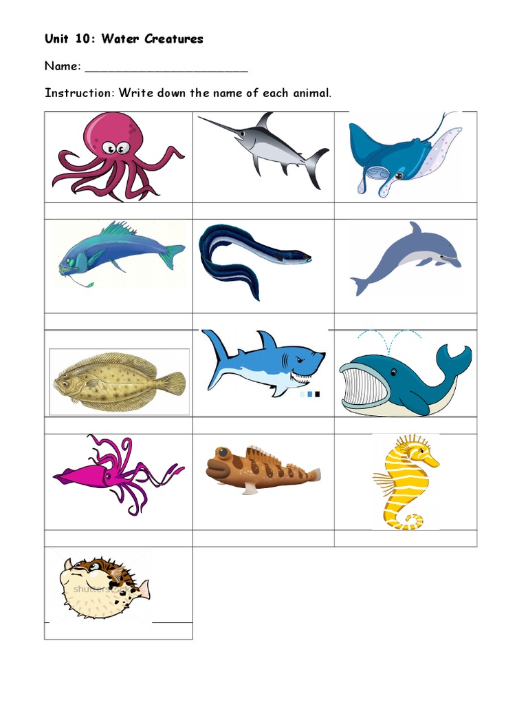 Water Creatures Spelling Test | PDF | Home & Garden | Wellness