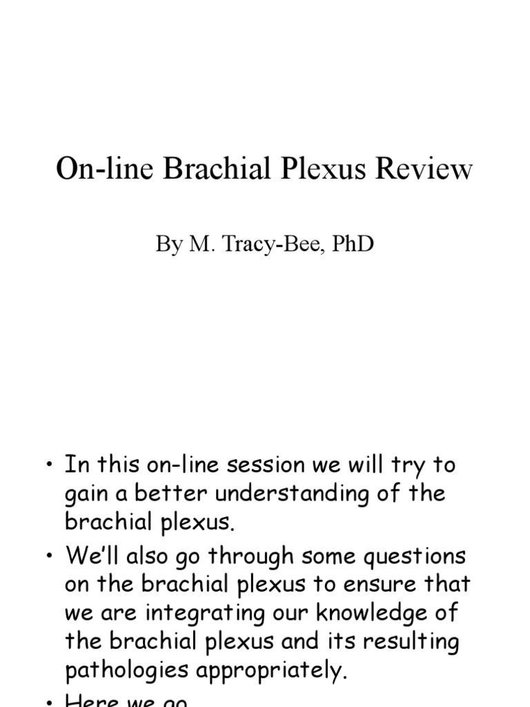 Brachial Plexus | PDF | Animal Anatomy | Human Anatomy