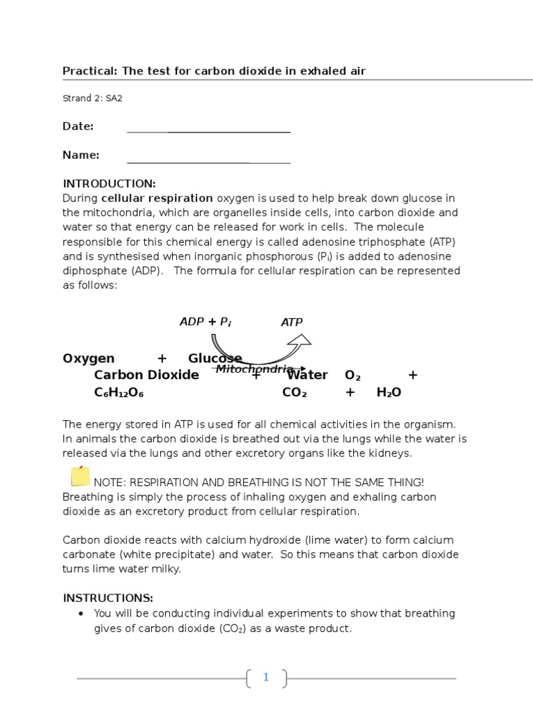 Practical: The Test For Carbon Dioxide in Exhaled Air | PDF