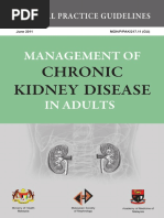 Endoscopy For Upper and Lower Gastrointestinal Procedures Standard ...