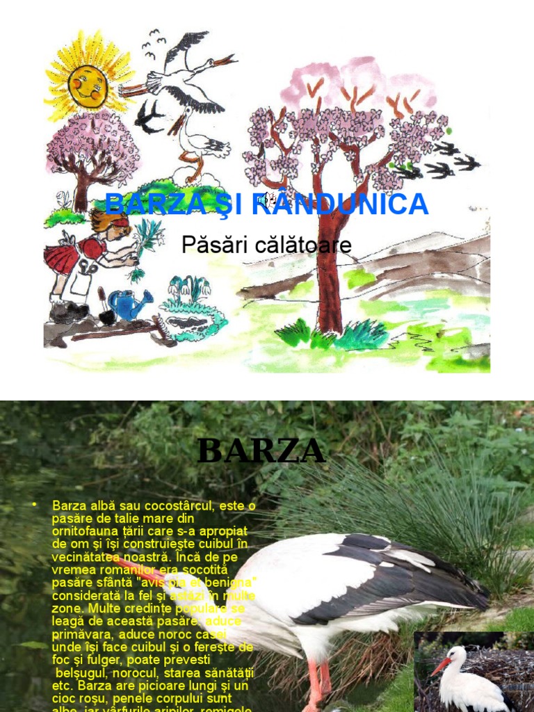 Barza Si Randunica | PDF