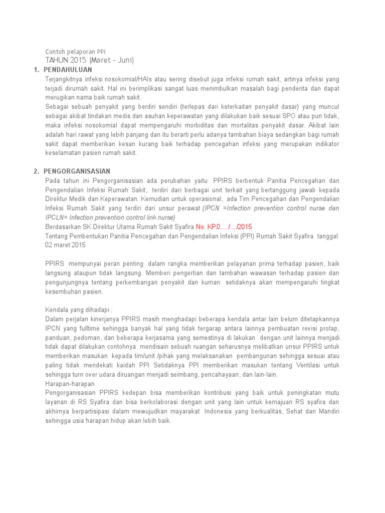 Contoh Laporan PPI | PDF