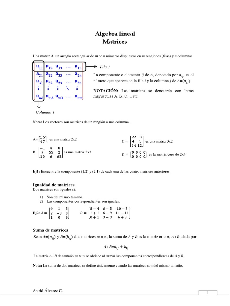 Matrices Teoría | PDF | Matriz (Matemáticas) | Funciones y mapeos