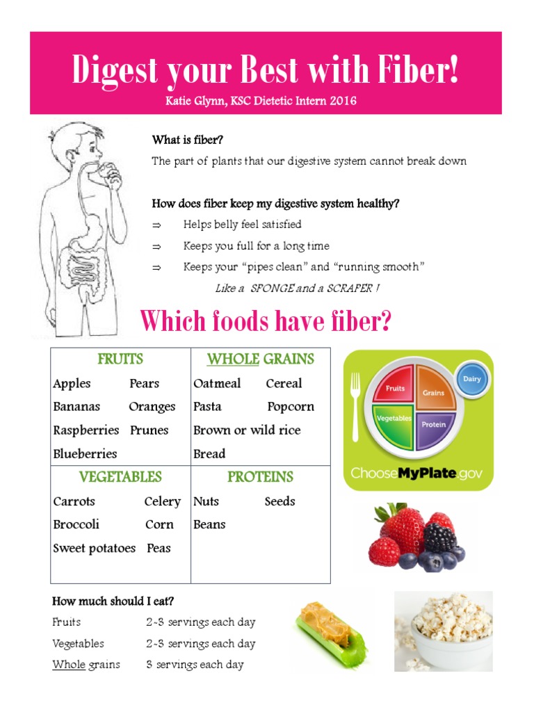 Fiber For A Healthy Digestive System Handout | PDF | Whole Grain | Breads