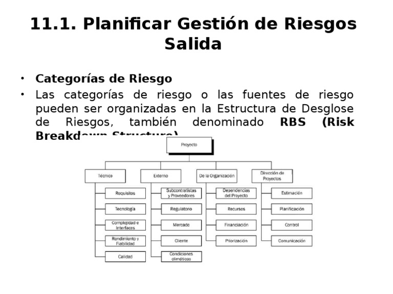 Estructura de Descomposición de Riesgos (RBS) para Un Proyecto Típico ...
