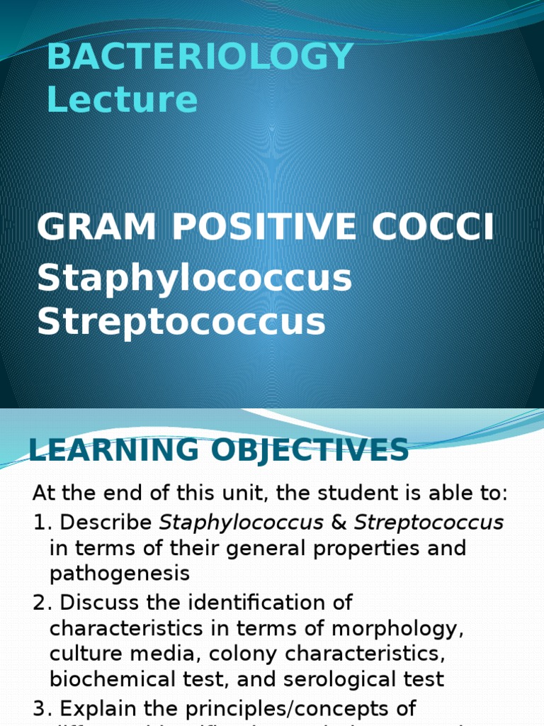 GRAM Positive Cocci | PDF | Streptococcus | Staphylococcus