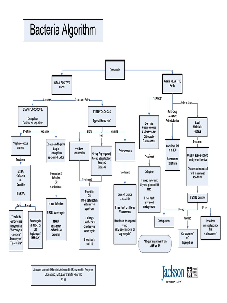 Gram Stain Chart for Identifying Bacteria | PDF