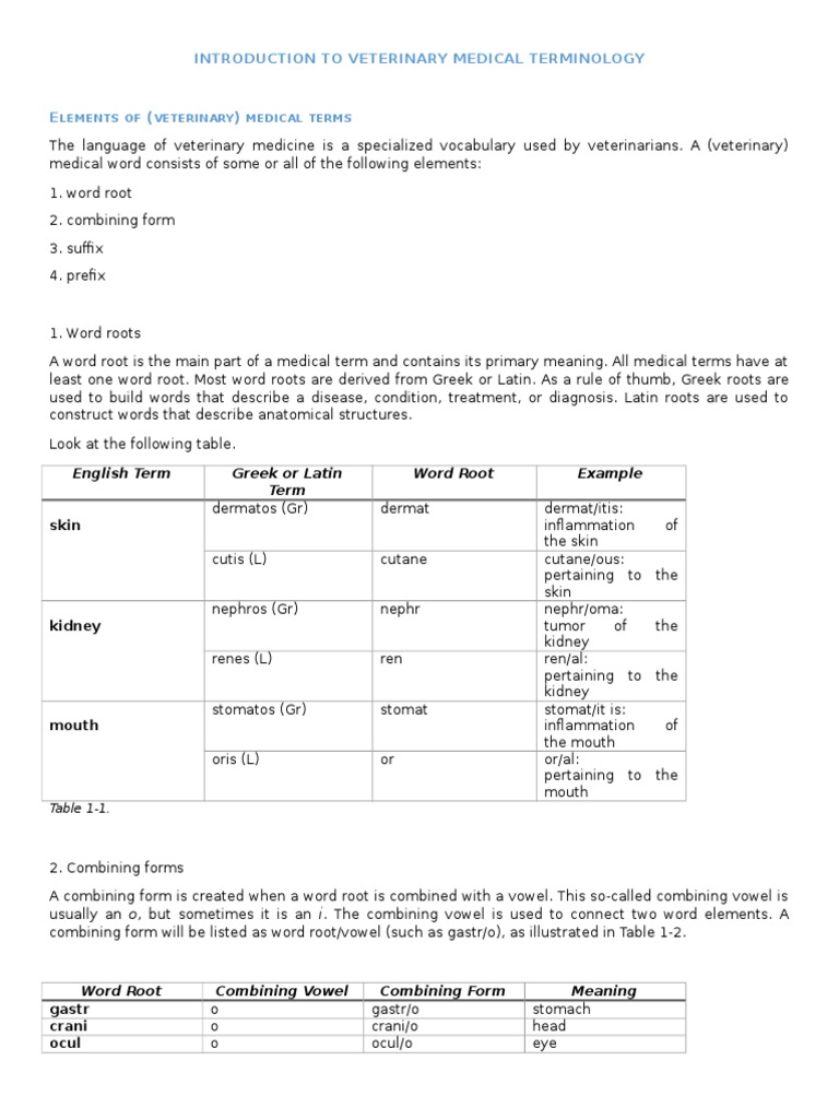 Introduction To Veterinary Medical Terminology | PDF | Language ...