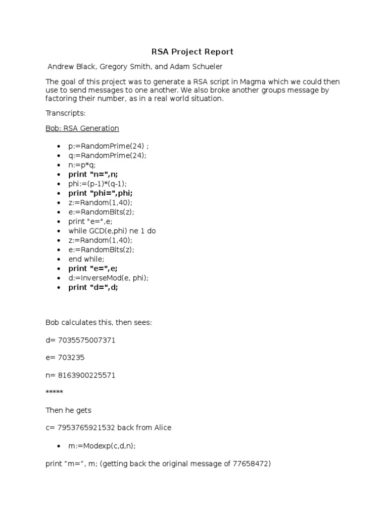 Rsa Project Report | PDF