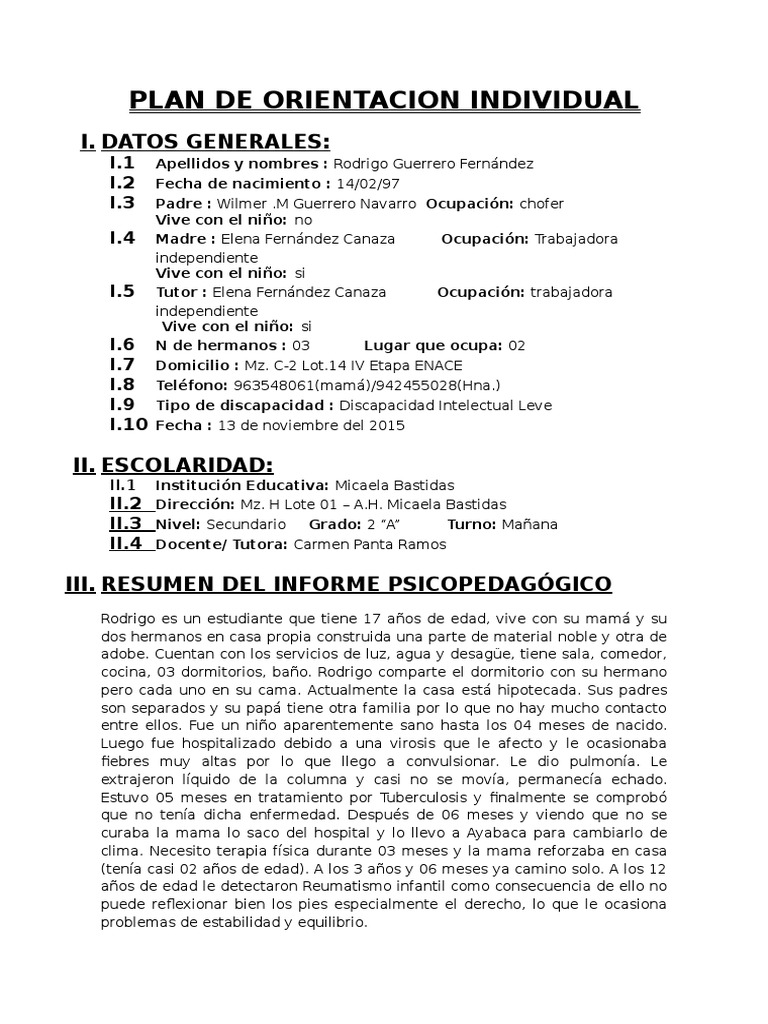 Plan de Orientacion Individual | PDF | Inclusión (Educación) | Aprendizaje