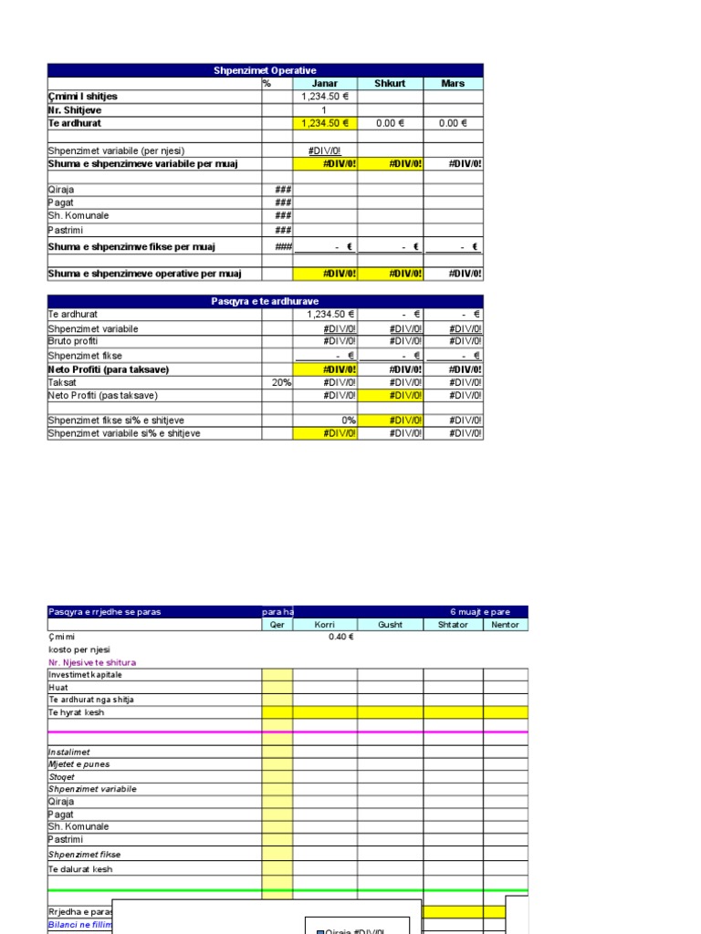 Pasqyra e Rrjedhes Se Paras | PDF