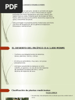 Informe_100_Plantas_Medicinales_Selva_Peruana | PDF