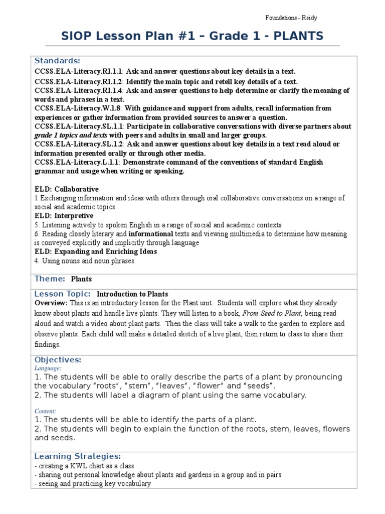SIOP Lesson Plan #1 - Foundations - Reidy | PDF | Vocabulary | English ...