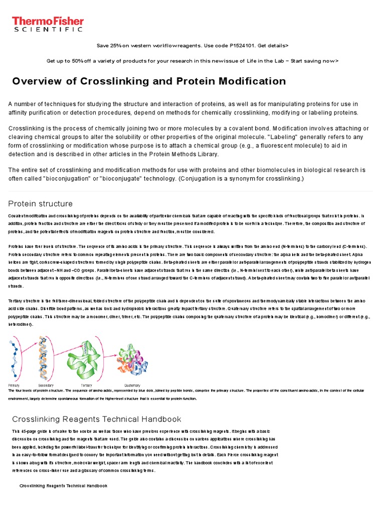 Overview of Crosslinking and Protein Modification | PDF | Cross Link ...