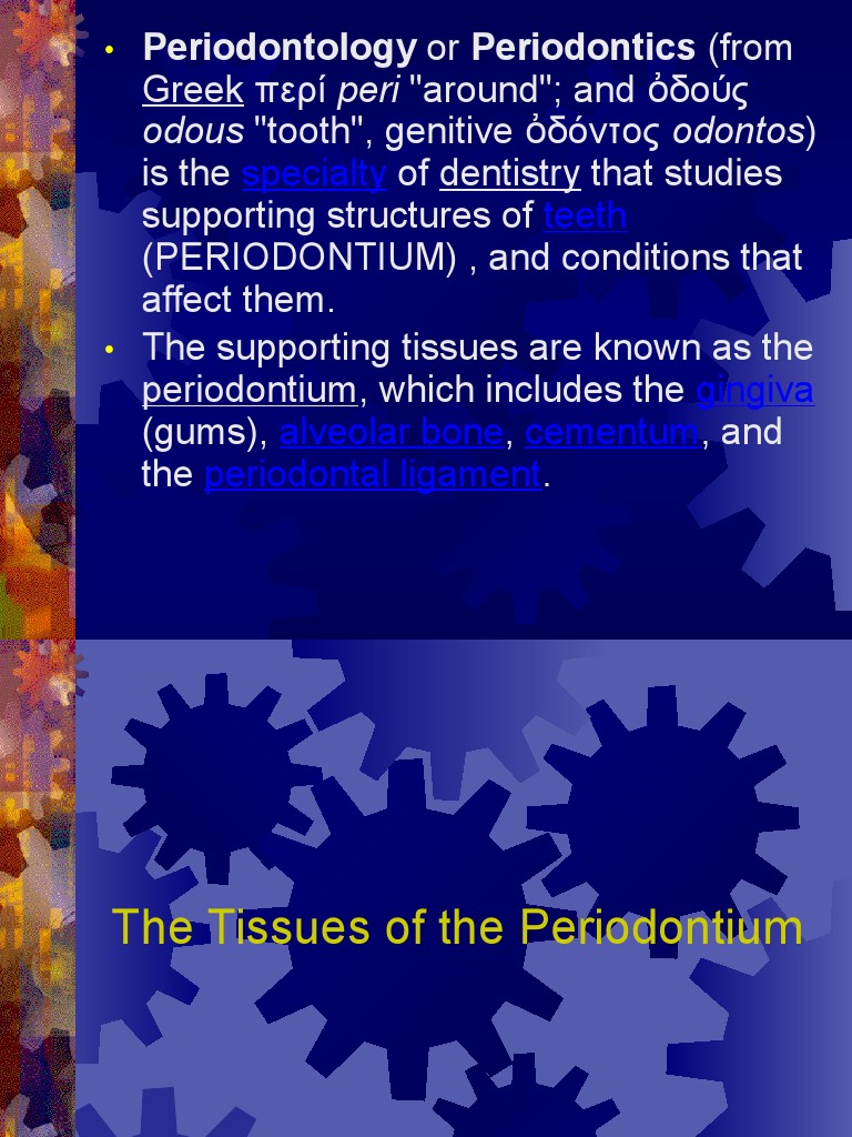 1 The Tissues of The Periodontium 2 | PDF | Epithelium | Dentistry Branches