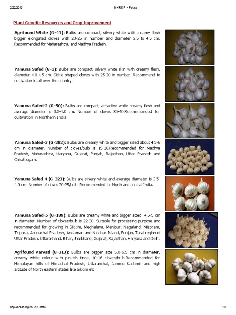 NHRDF - Potato | PDF | Agronomy | Agriculture