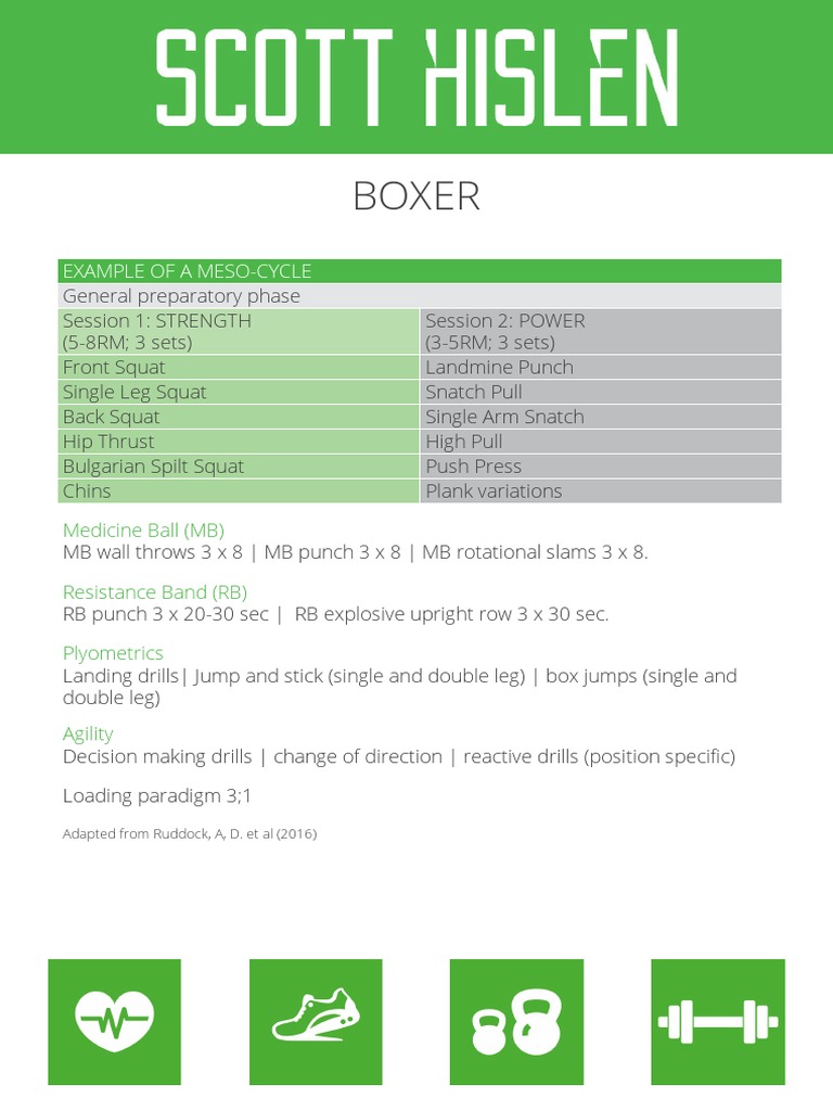 Boxer: Example of A Meso-Cycle | PDF