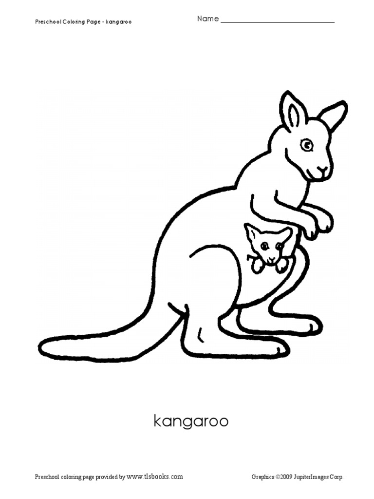 Kangaroo: Name | PDF
