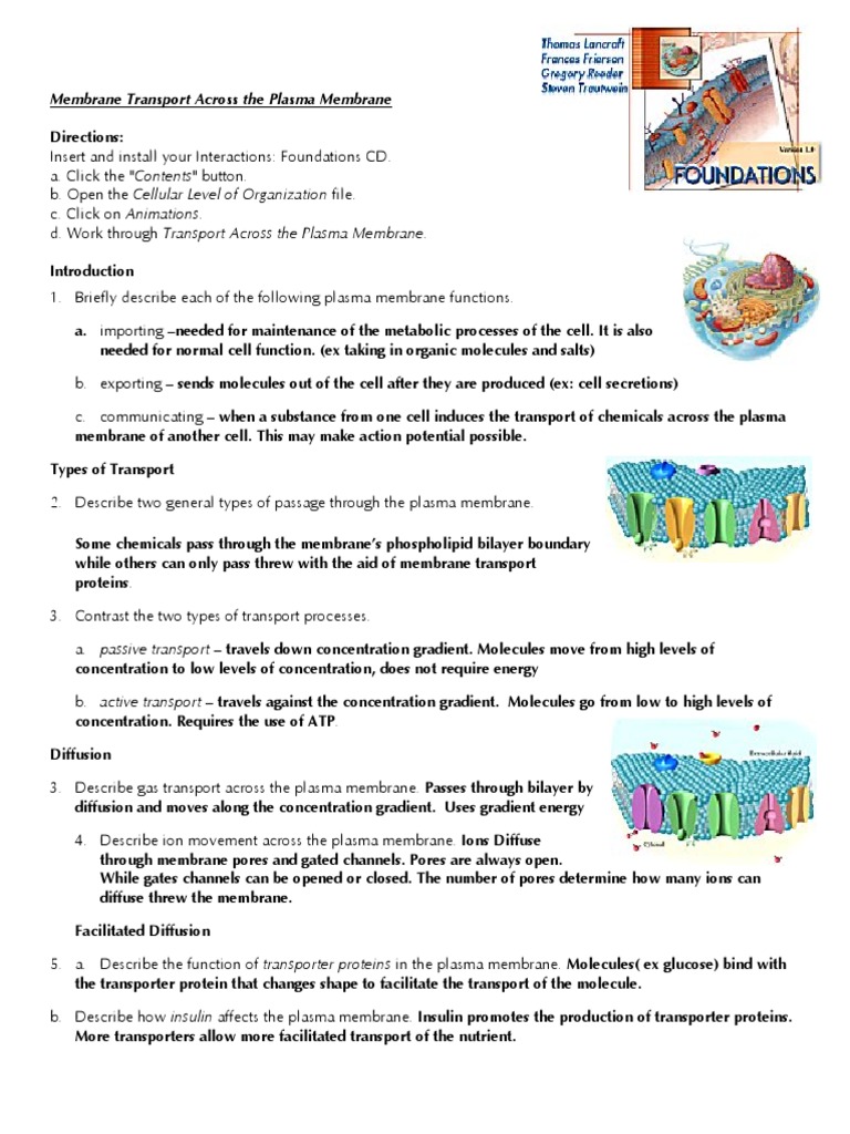 Membrane Transport Mechanisms Explained | PDF | Cell Membrane | Osmosis
