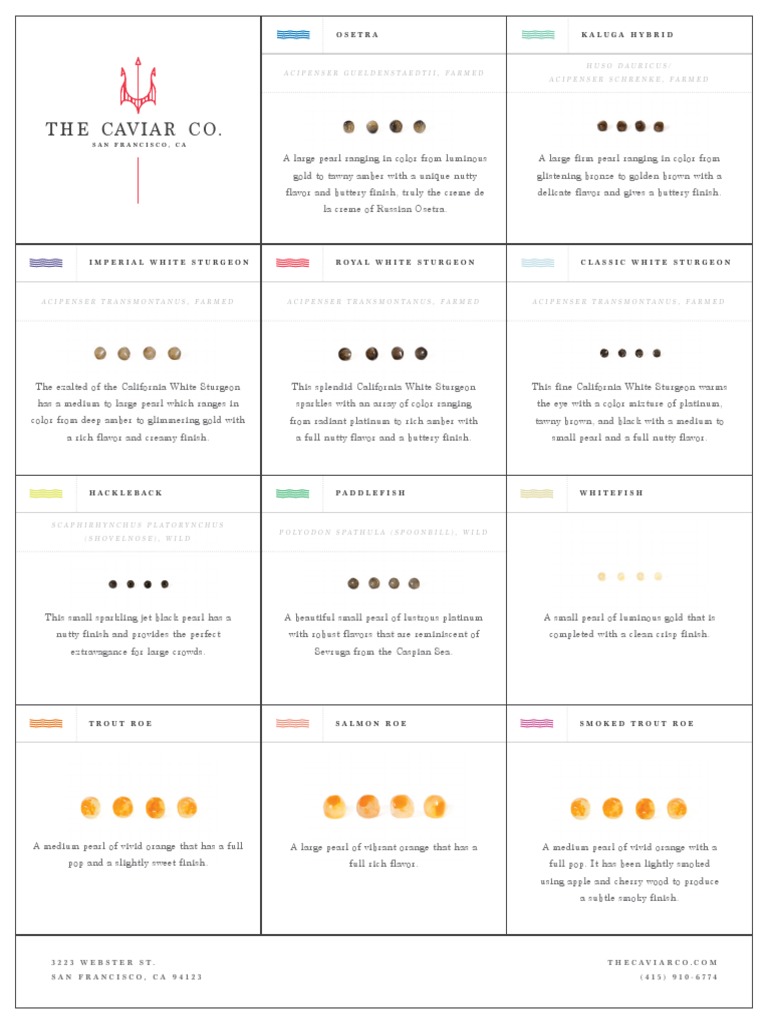 Selection Sheet | PDF