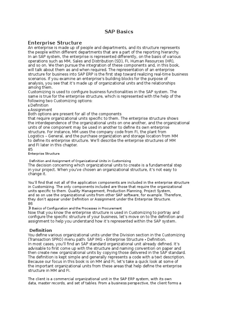 SAP Basics Enterprise Structure | PDF