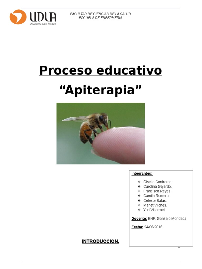 Proceso Educativo APITERAPIA. Final | PDF | Especialidades Medicas | Medicina CLINICA