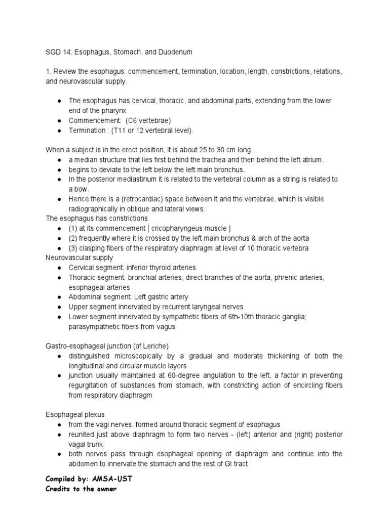 Anatomy of the Upper GI Tract | PDF | Stomach | Pancreas