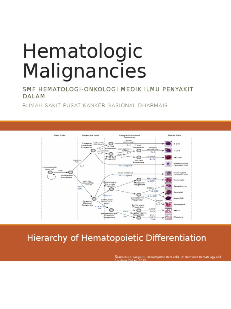 Hematologic Malignancies | PDF | Leukemia | Lymphoma