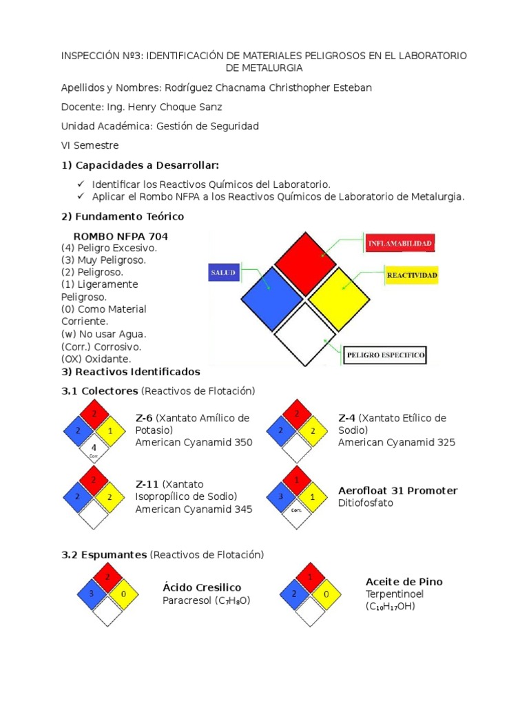 Inspección Nº3 Identificación de Materiales Peligrosos en El ...