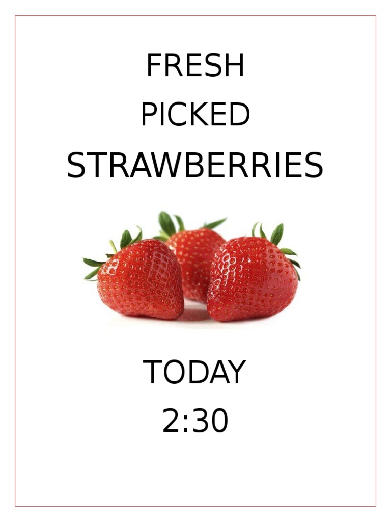 Fresh Picked Strawberries Today | PDF