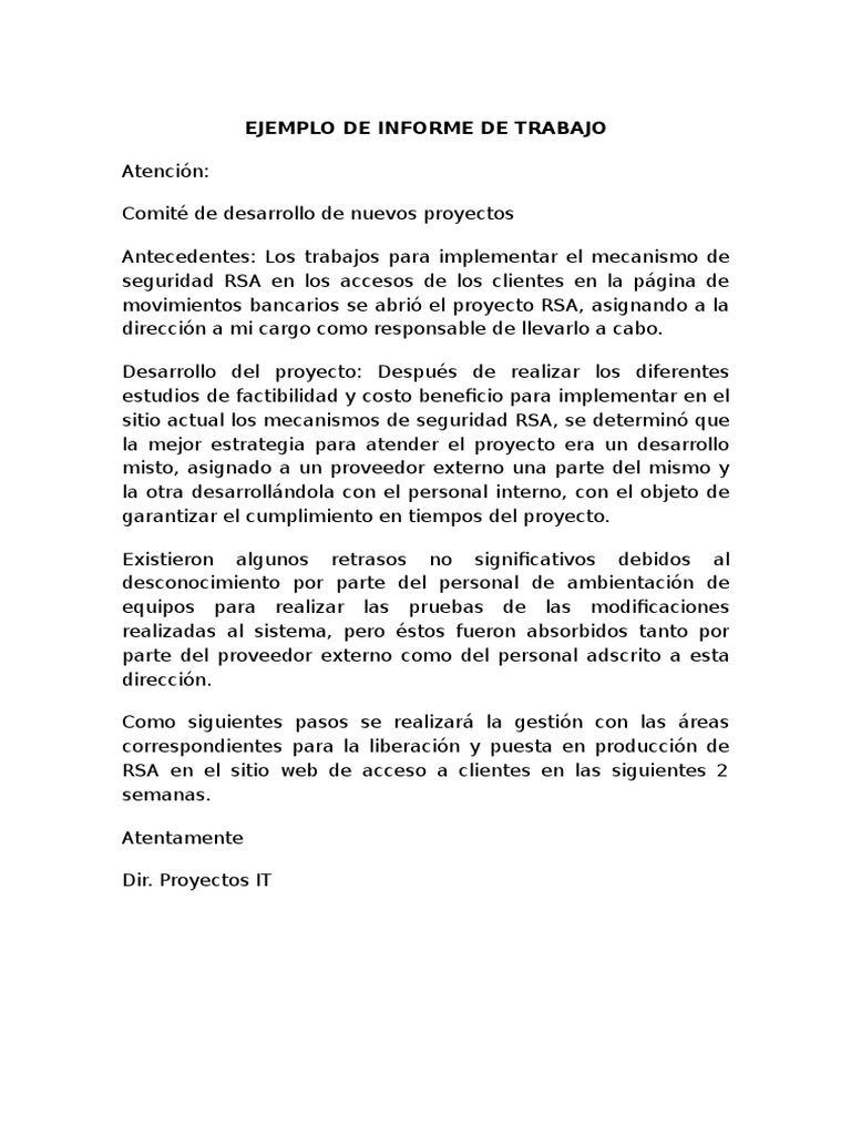 Ejemplo de Informe de Trabajo | PDF
