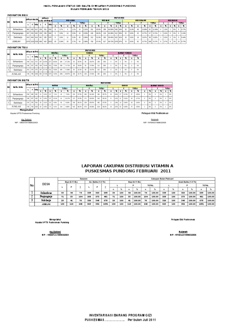 Blangko Rekap Lap Gizi 2011 New | PDF