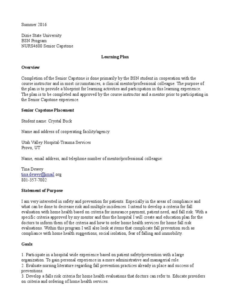 Learning Plan 1 | PDF | Home Care | Mentorship