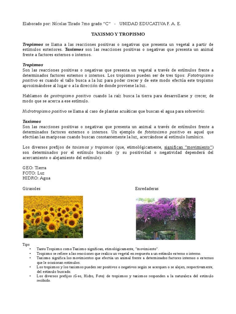 Tropismo y Taxismo: Movimientos Naturales | PDF