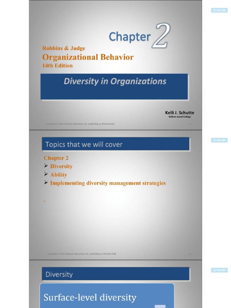 OB Chapter 2 Slides | PDF