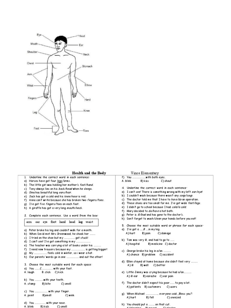 Body Parts and Health Vocabulary | PDF | Foot