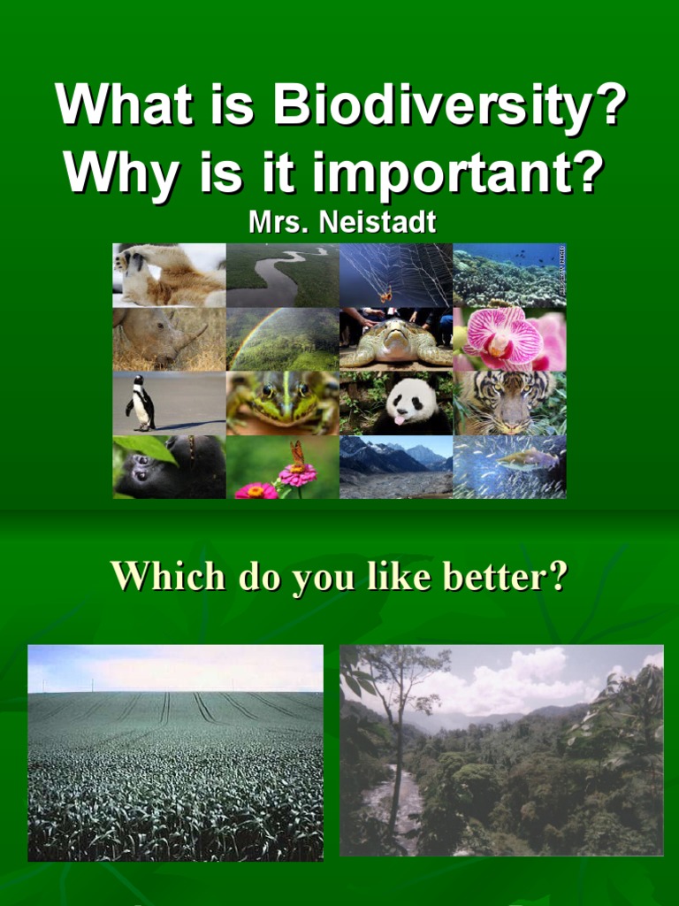 What Is Biodiversity? Why Is It Important? | PDF | Biodiversity ...