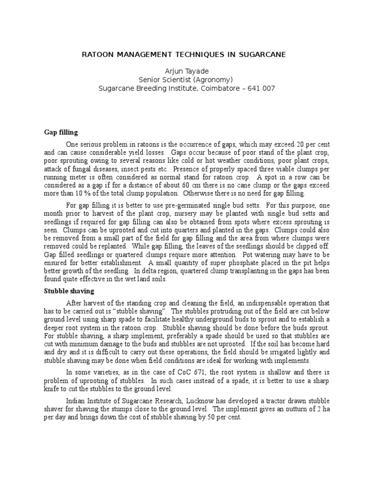 Ratoon Management | PDF | Botany | Organisms