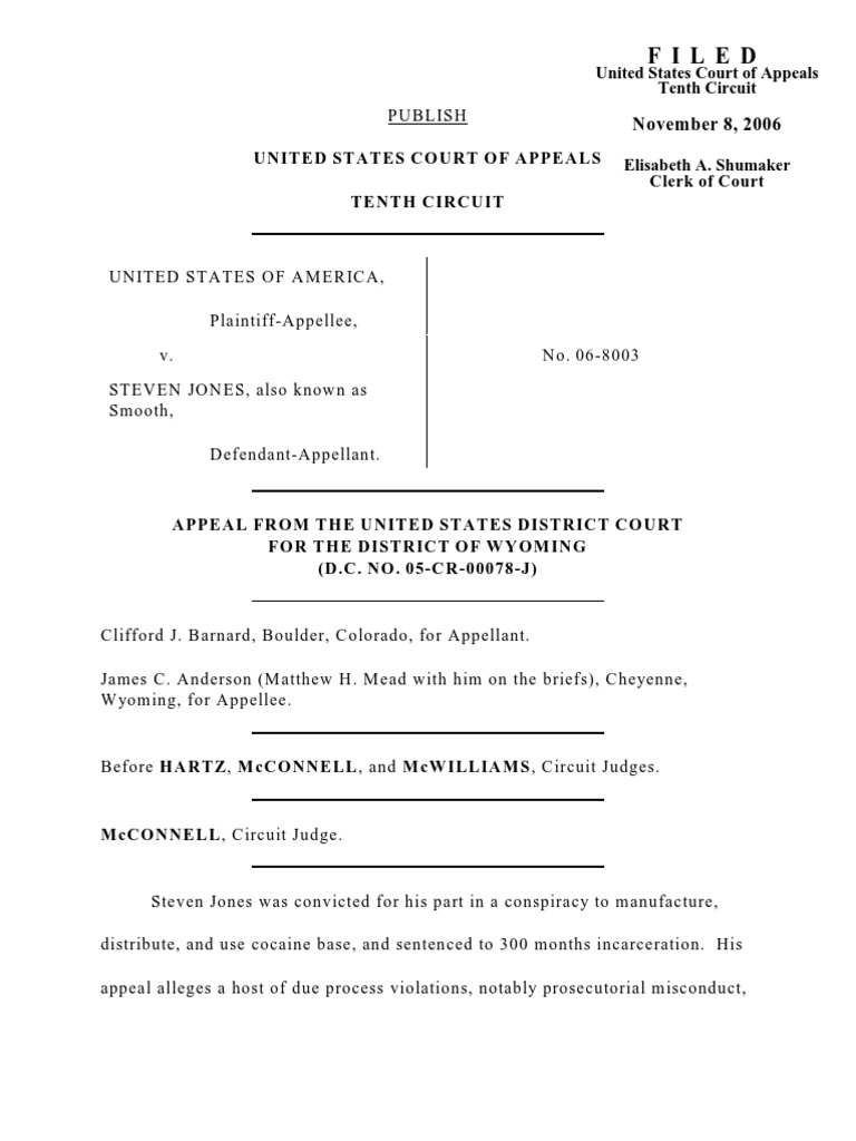 United States v. Jones, 468 F.3d 704, 10th Cir. (2006) | PDF | Witness ...
