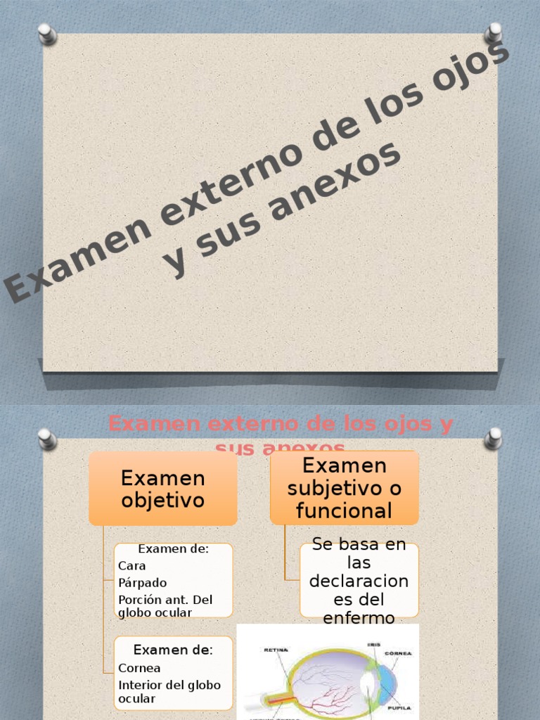 Examen clínico completo de los ojos: una guía detallada de la ...