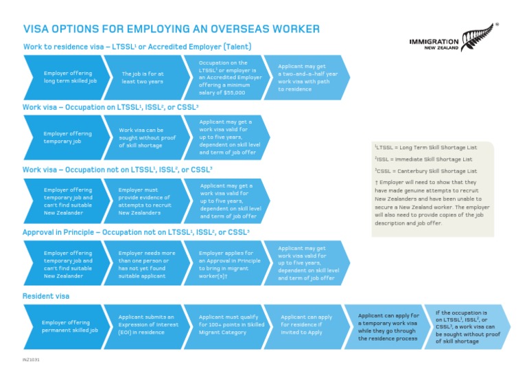 Visa Options Diagram | PDF