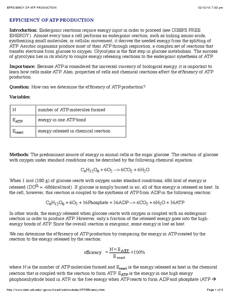 Efficiency of Atp Production | PDF | Adenosine Diphosphate | Adenosine ...